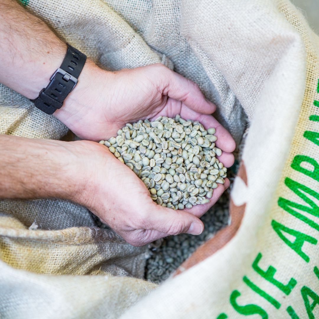 How To: Brewing With the Single Cup Filter Coffee Bag | Filament Coffee